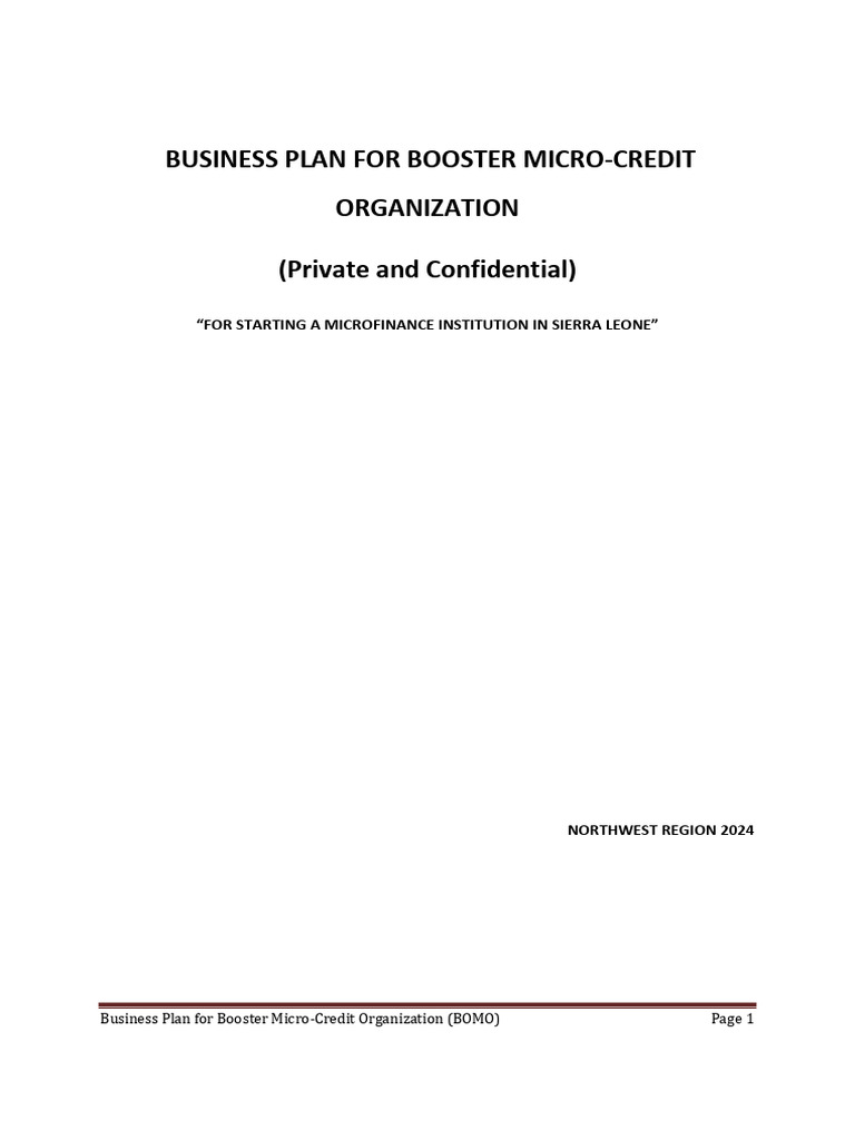 Microfinance Business Plan | PDF | Microfinance | Gross Domestic Product