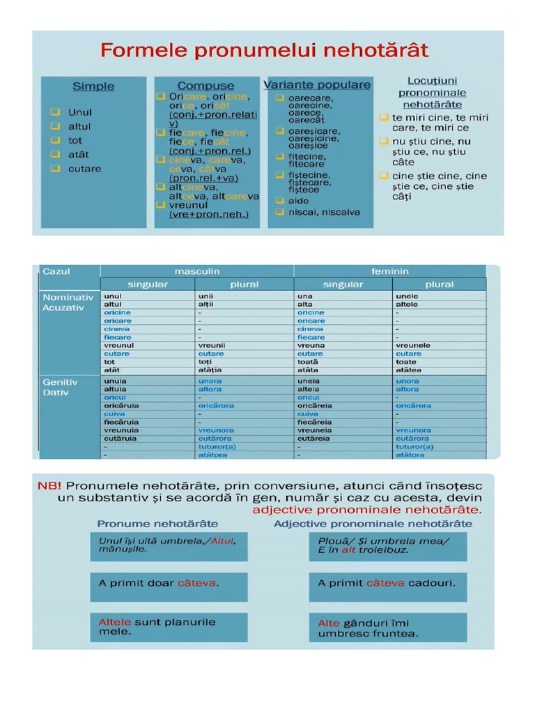 Formele pronumelui nehotărât | PDF