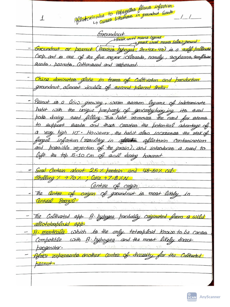 Groundnut Pdf