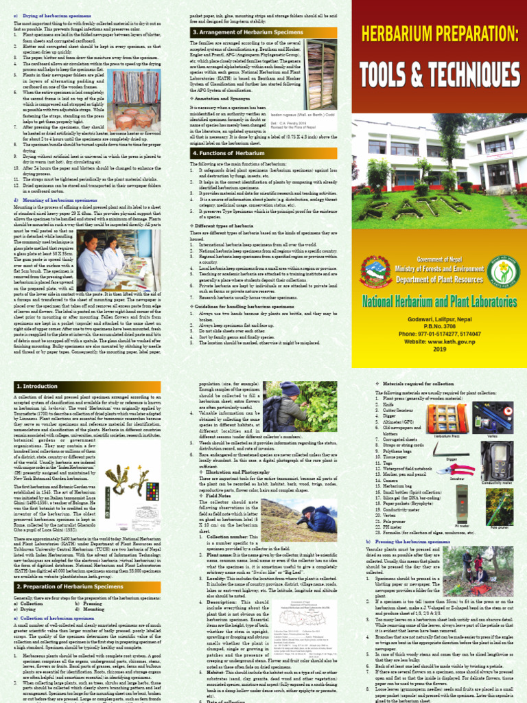 Herbarium Preparation Tools and Techniques | PDF | Leaf | Plants