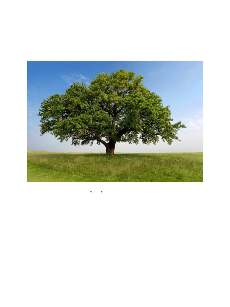 SOPEÑA_MARK_ERON | PDF