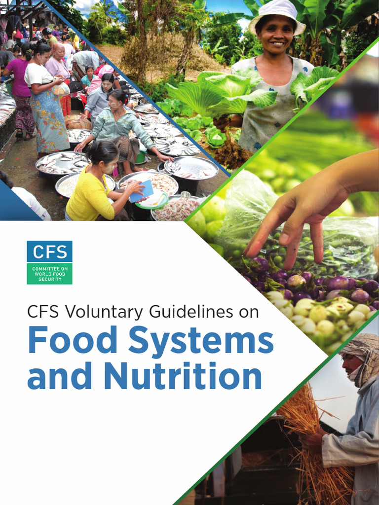 CFS_VGs_Food_Systems_and_Nutrition_Strategy_EN | PDF | Malnutrition ...