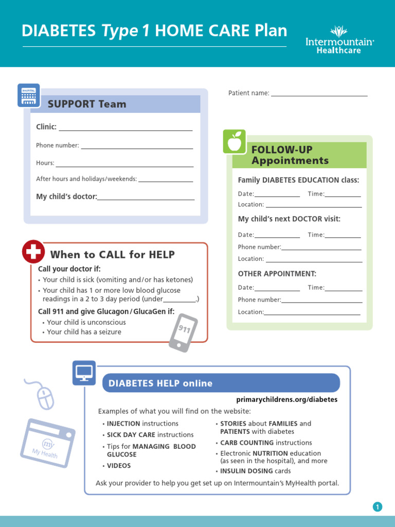 Diabetes Type 1 Home Care Plan | PDF | Hypoglycemia | Insulin
