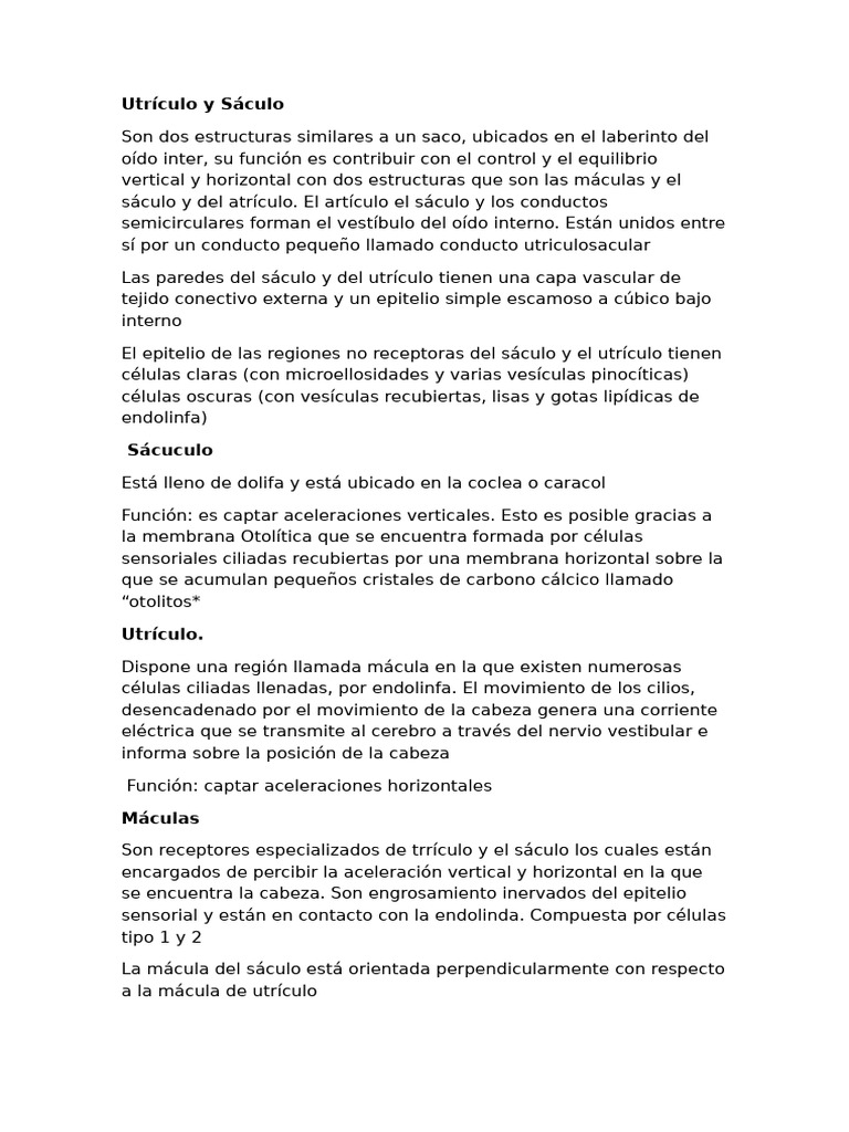 Estructuras del Oído Interno: Utrículo y Sáculo | PDF | Oído | Cabeza y ...