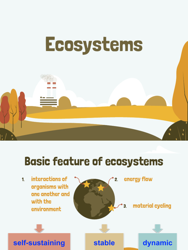 21.5 - Ecosystems - Material Cycling | PDF | Carbon Dioxide | Nitrate