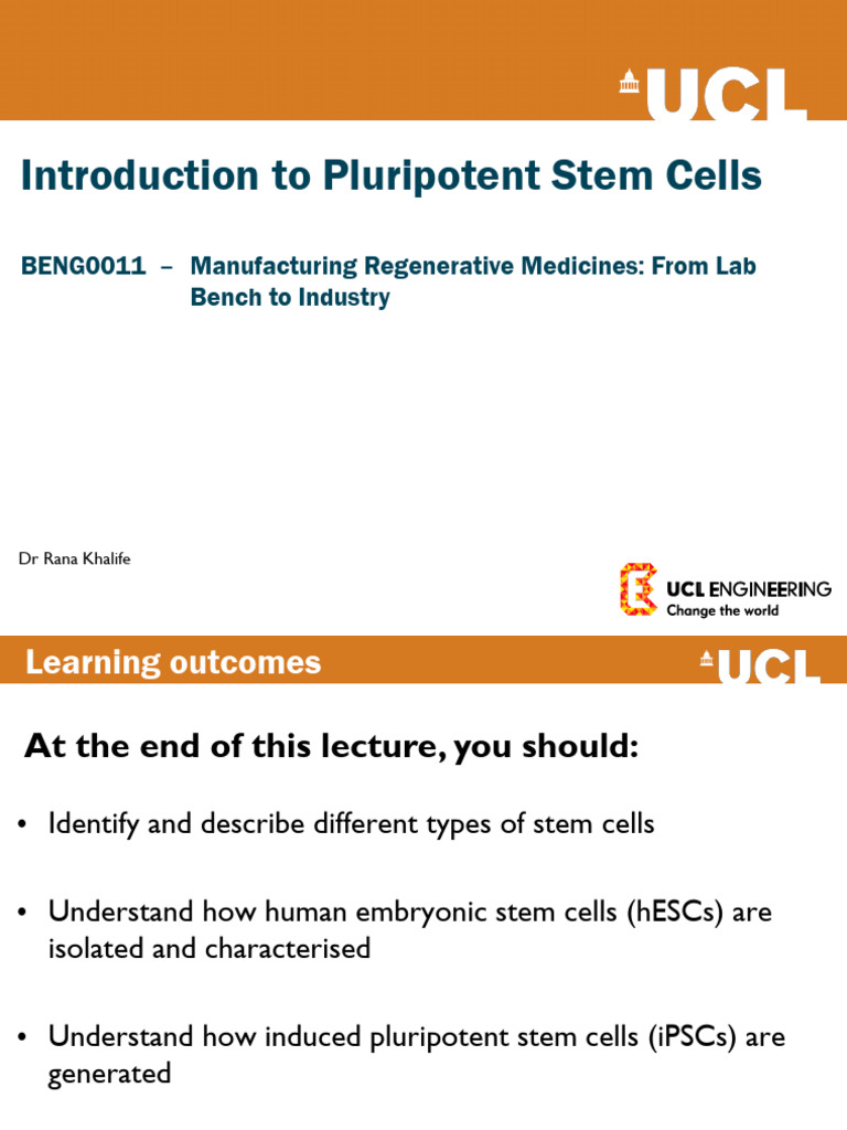 Lecture 4 regen med | PDF | Cell Potency | Stem Cell