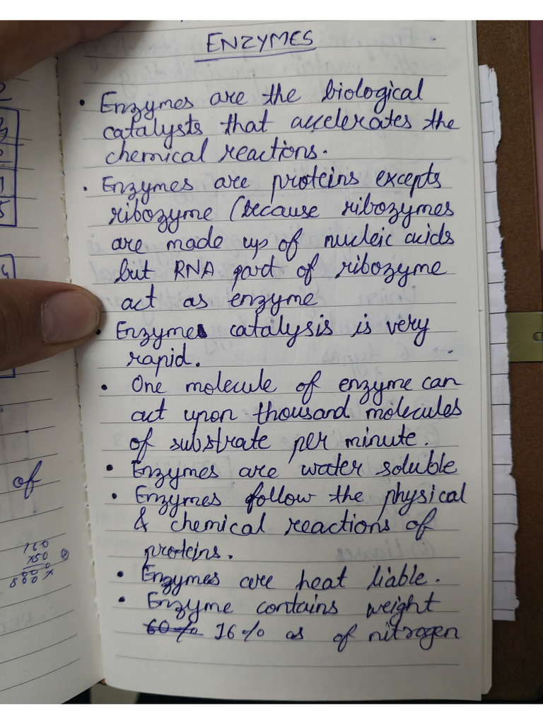 Enzymes Classification Biochemistry | PDF