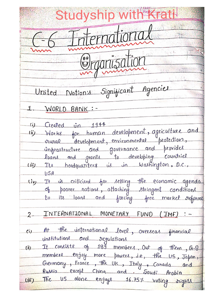 C-6 International Organization Notes_preview | PDF
