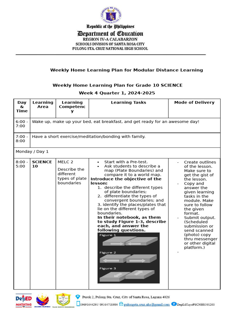 q1 Dll Punzalan Week 4 Whlp | PDF | Learning