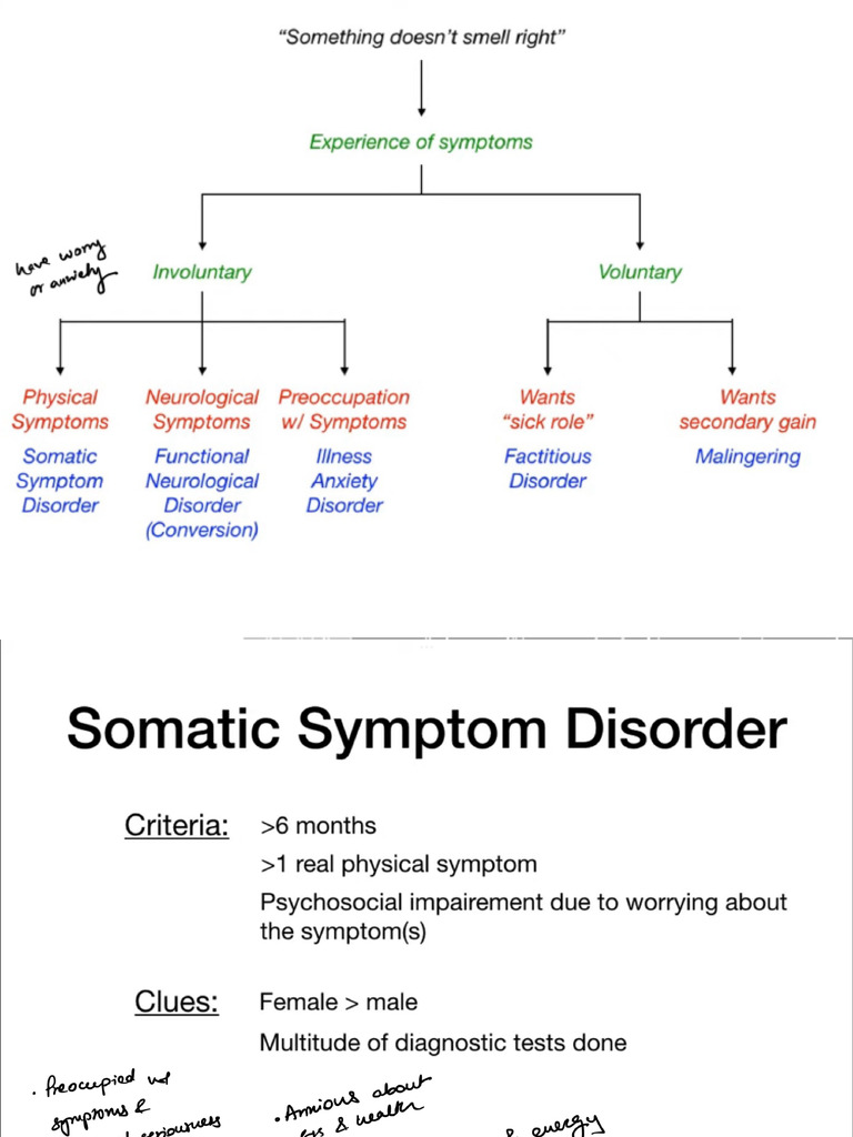 Somatic | PDF