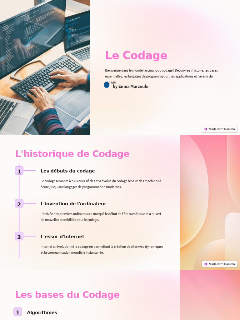 Le Codage | PDF | Programmation informatique | Langage de programmation