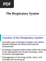 Science Form 3 - Chapter 2 (Respiration) | PDF | Respiratory System | Lung