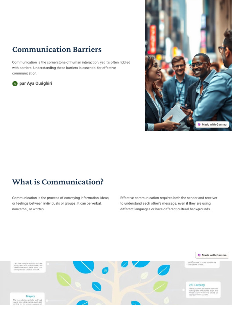 Communication-Barriers 241222 131322 | PDF