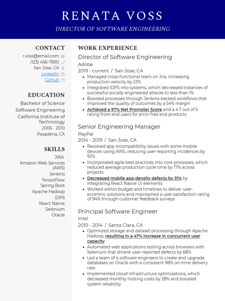 Director of Software Engineering Resume Example | PDF | Selenium ...