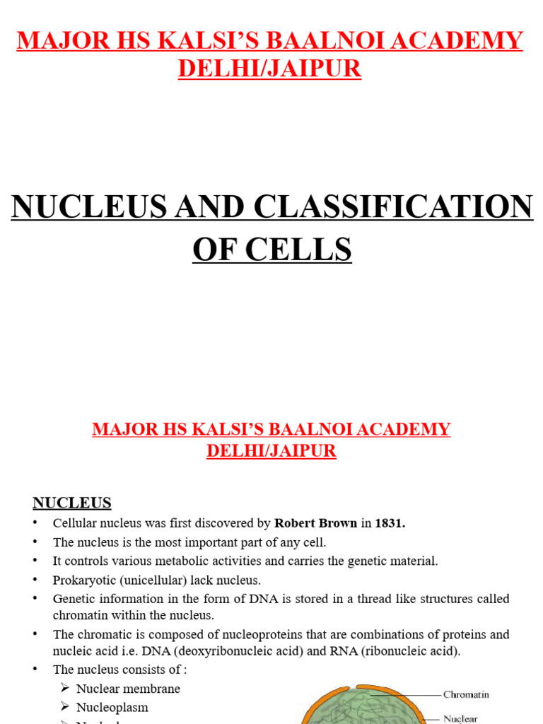 2. Nucleus And Classification Of cell | PDF | Rna | Cell (Biology)