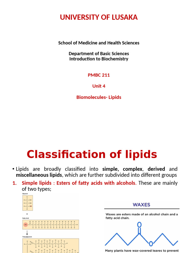 Unit 4 Biomolecules - Lipids I | PDF | Lipid | Cholesterol