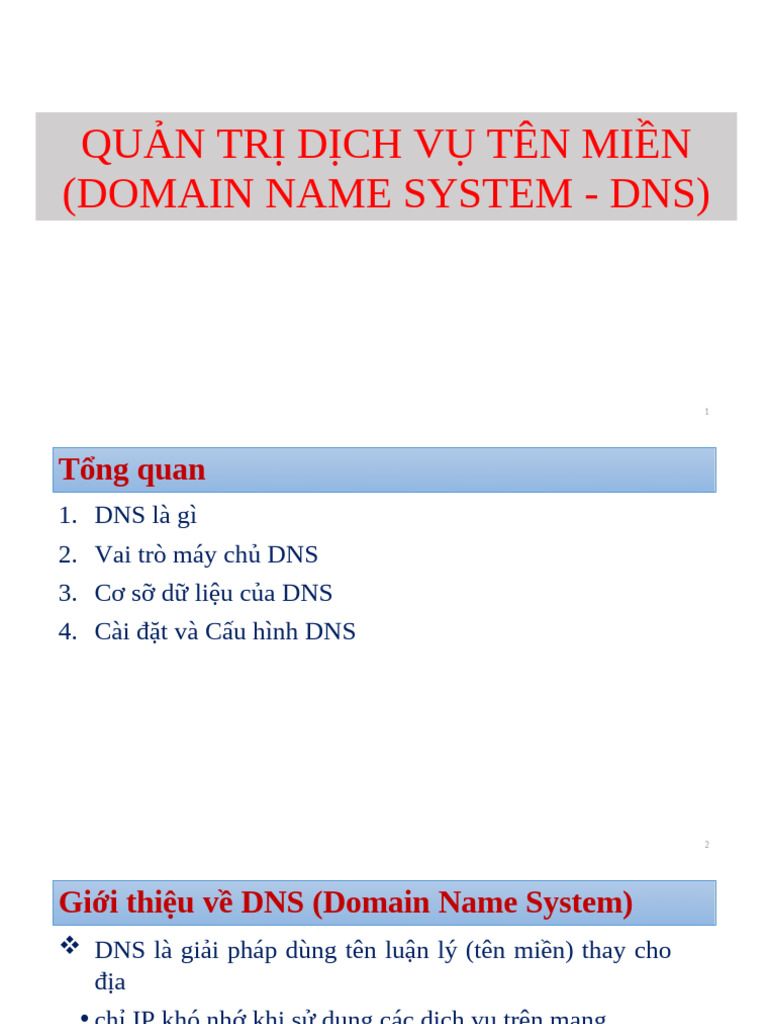 3 DNS | PDF