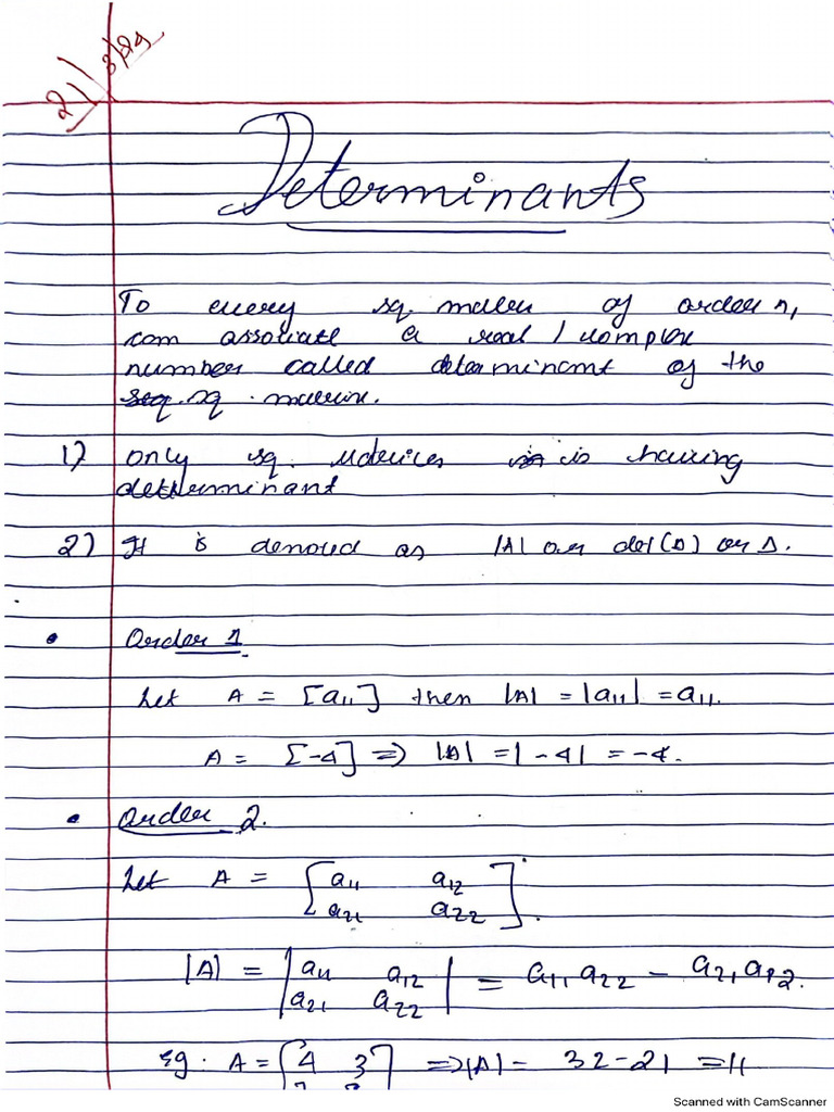 Determinants Notes | PDF