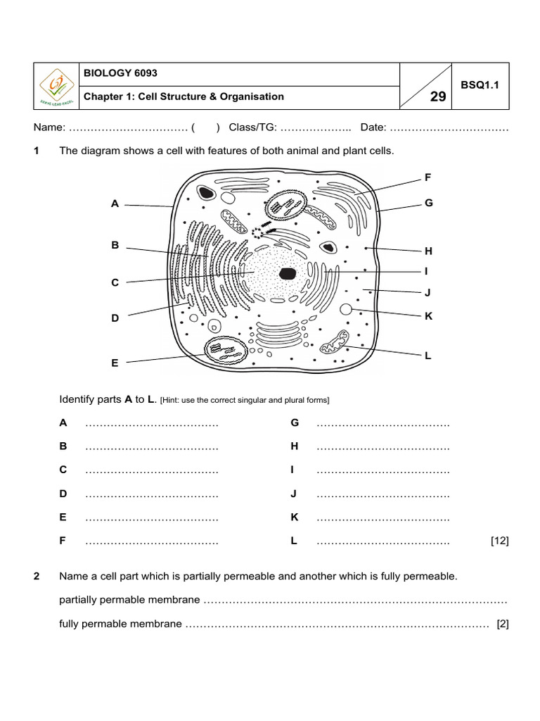 Httpsdoc 04 3s Prod 03 Apps Viewer.googleusercontent.comviewer2prod ...