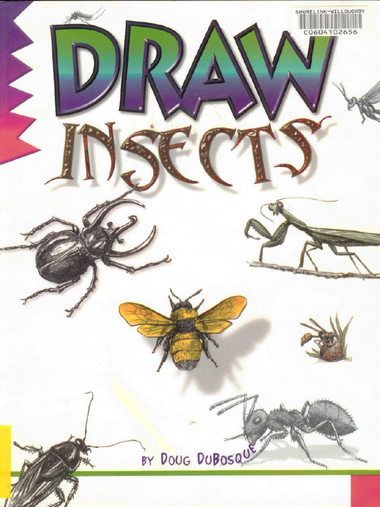 How Draw Insects A Z | PDF