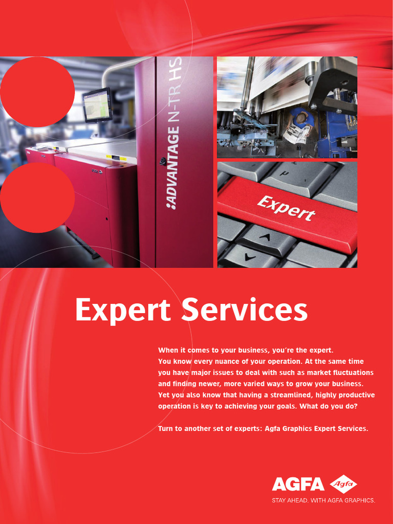 Expert Services Brochure en Web | PDF | Project Management | Computing
