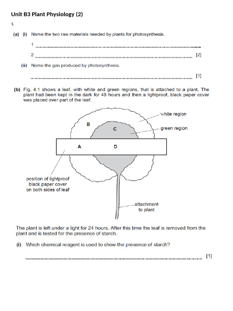 Unit B3 Plant Physiology (2) 2 | PDF