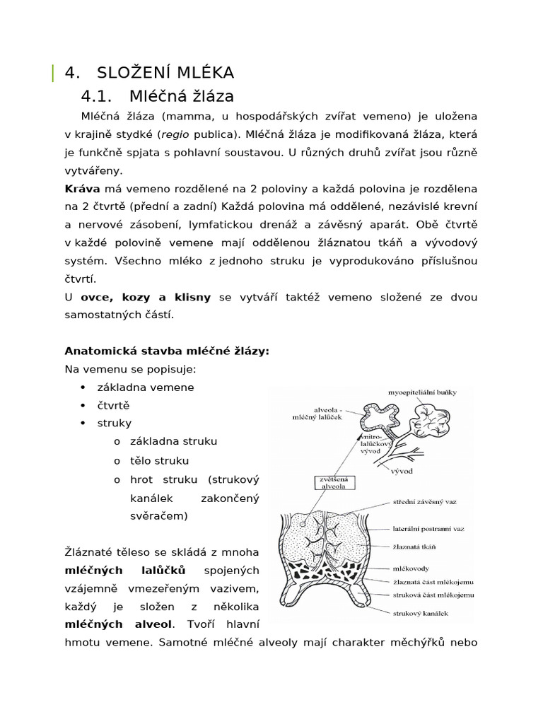 D.Slozeni - Mleka 3 | PDF