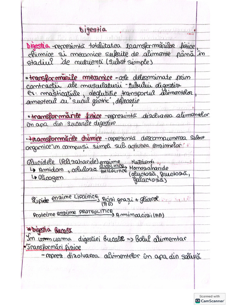 Digestia | PDF