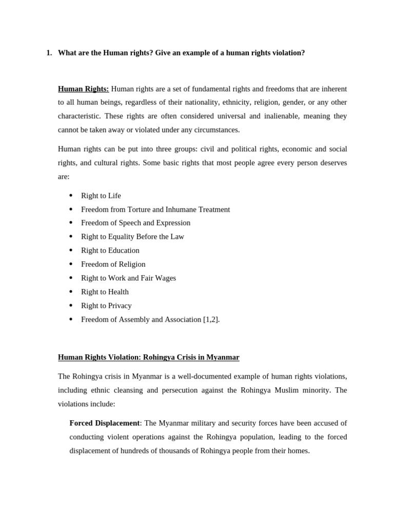 Understanding Human Rights Violations | PDF | Rohingya People | Human ...