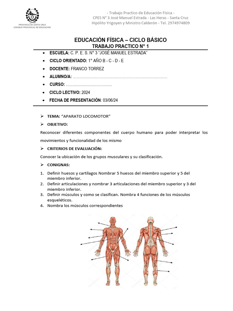 TP N°1 - 1° Año | PDF