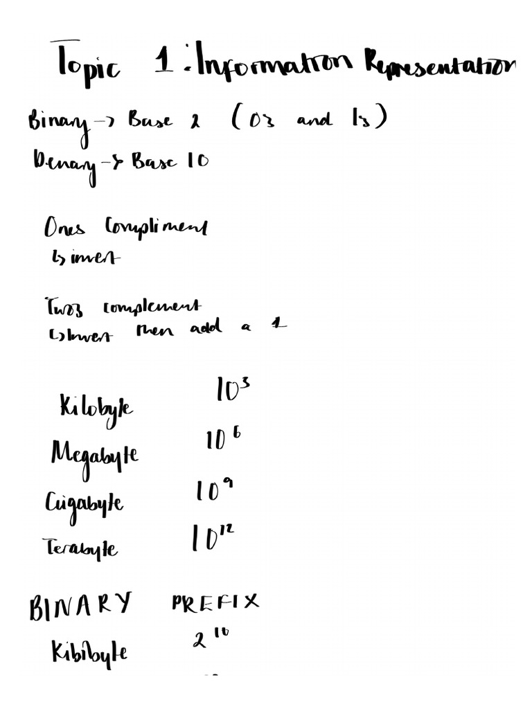 Topic I - Information Representation | PDF