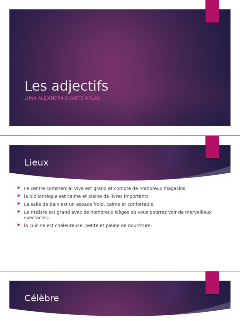 Les Adjectifs | PDF