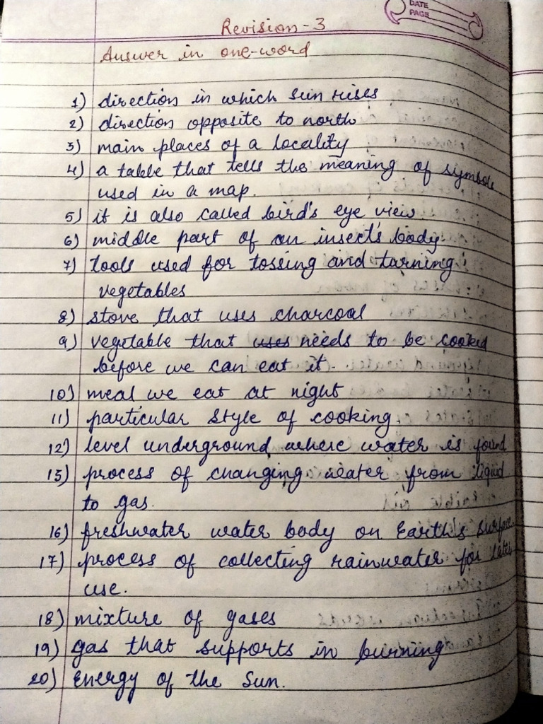 EVS Revision 3 (Class III) | PDF