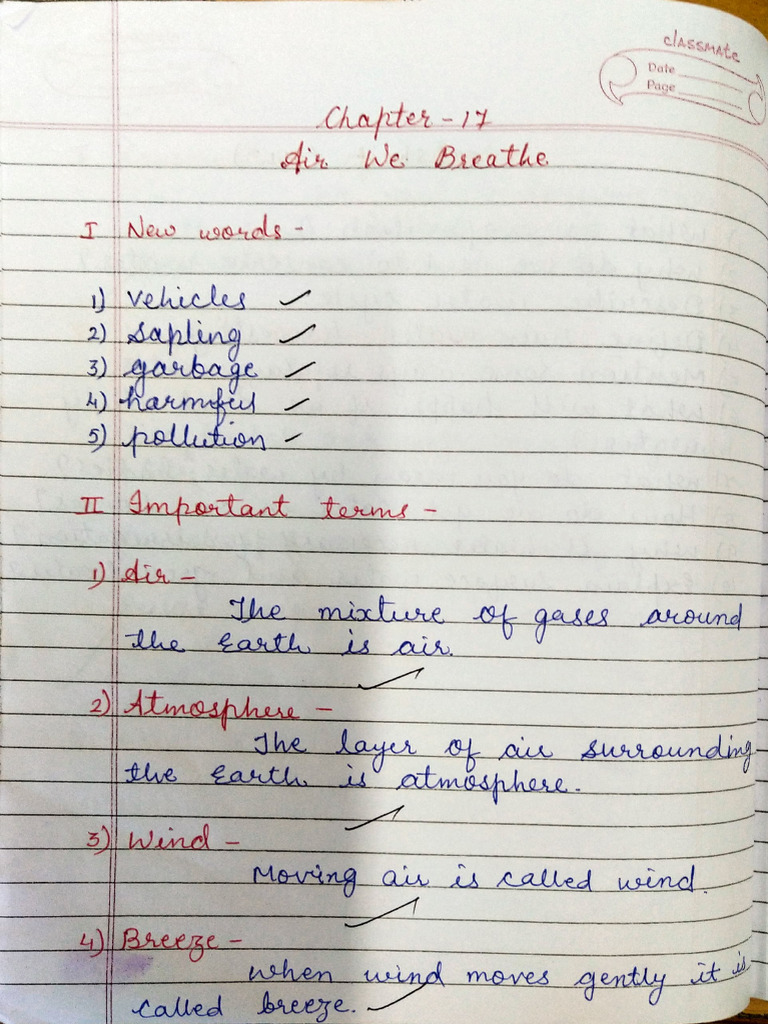 CH 17 Air We Breath (Copywork) | PDF