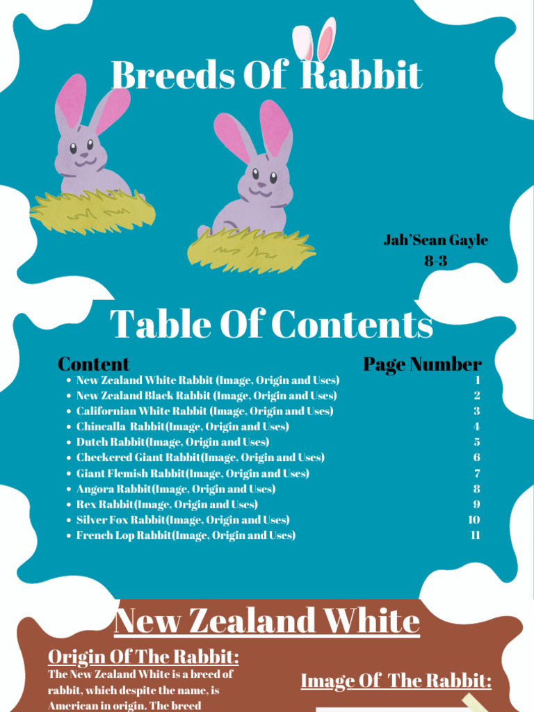 Breeds Of Rabbits | PDF | Lagomorphs | Animals And Humans