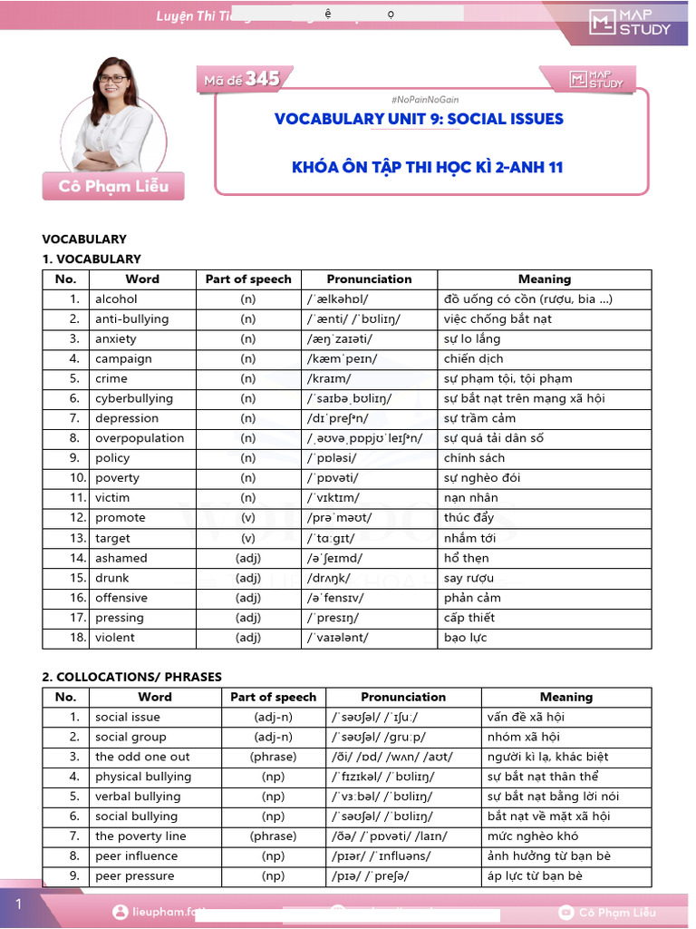 Vocabulary - Unit 9 - Social Issues - English 11 | PDF | Bullying ...