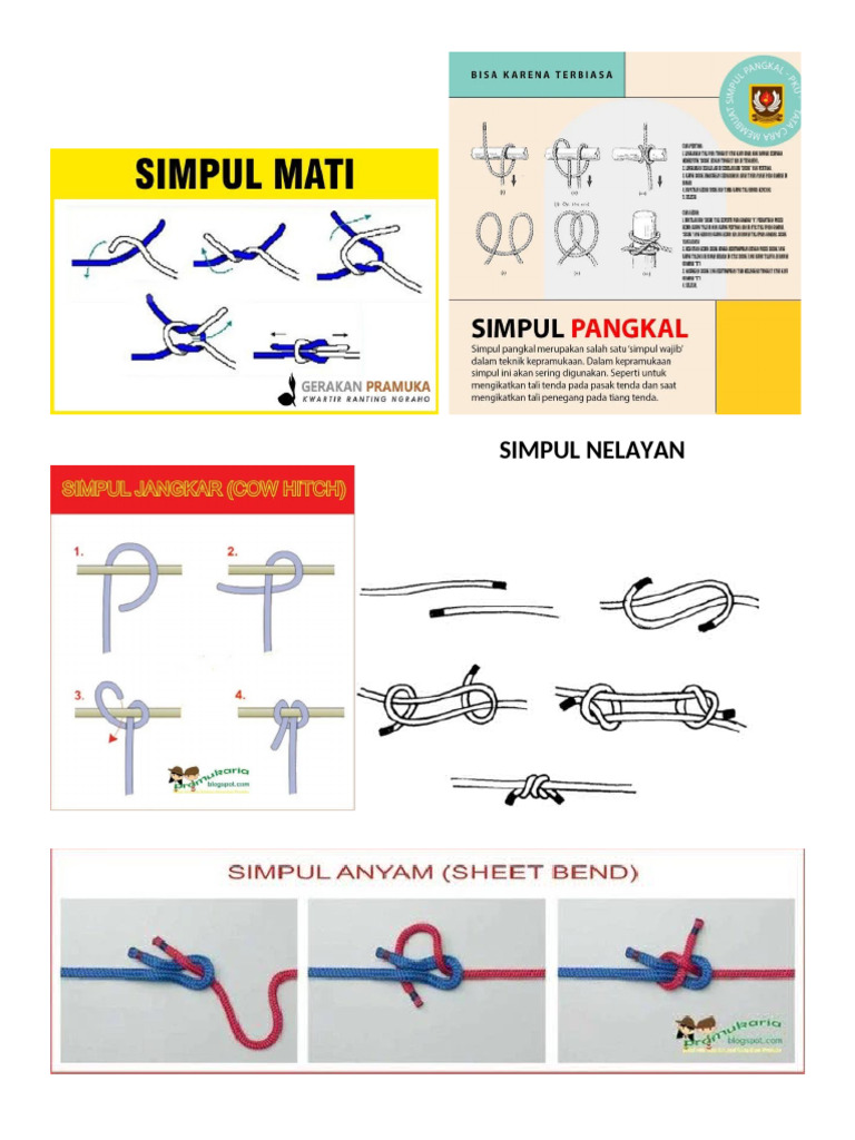 Simpul Pramuka | PDF
