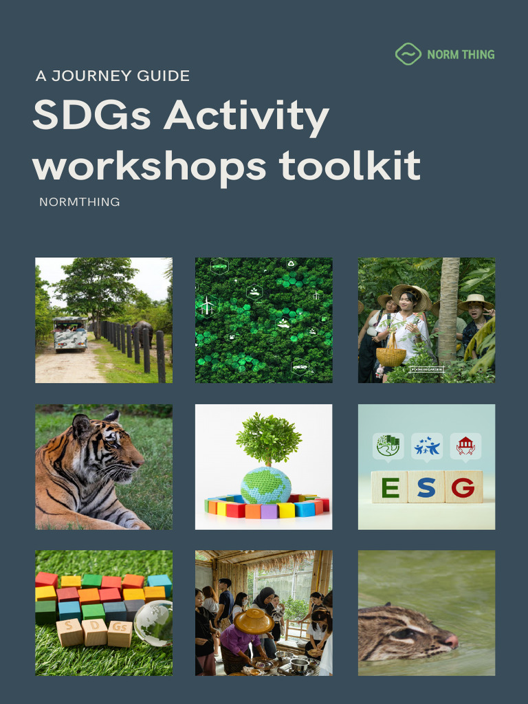 SDGs CSR WORKSHOP | PDF