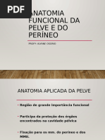 Pelve e Períneo | PDF | Pélvis | Anatomia