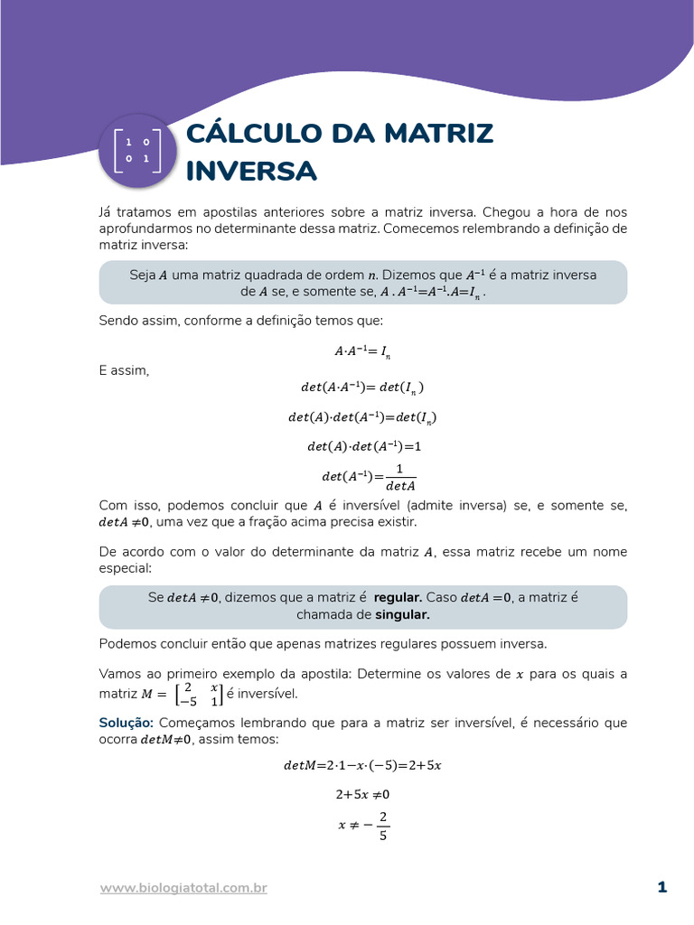 Cálculo da Matriz Inversa e Determinantes | PDF | Matriz (Matemática ...