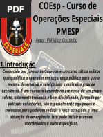 COE PMESP - GTA Roleplay | PDF | Polícia | Forças especiais