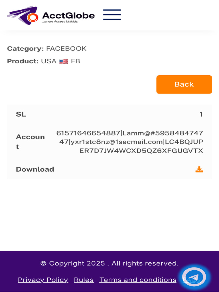 AcctGlobe - Order Details | PDF