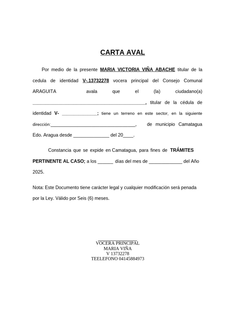 Carta Aval Modelo | PDF