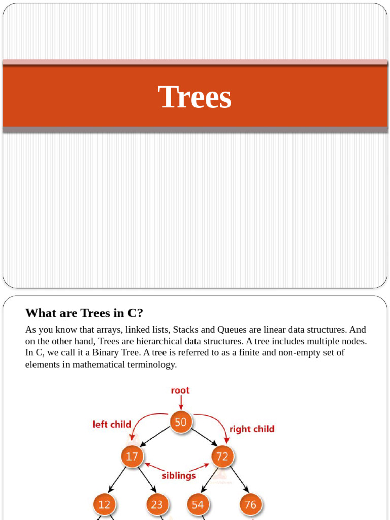 Tree | PDF | Algorithms And Data Structures | Computer Programming Tree | PDF | Algorithms And Data Structures | Computer Programming