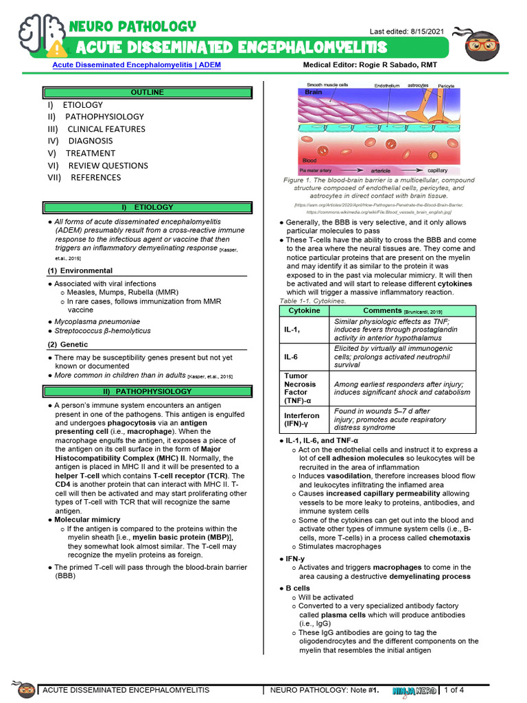 ADEM: Causes, Symptoms, and Diagnosis | PDF | Antigen | T Cell