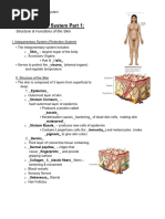 3-D Skin Model Project Guide | PDF | Skin | Anatomy