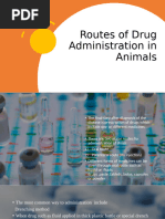 Locating Cattle and Sheep Injection Sites | PDF | Injection (Medicine ...