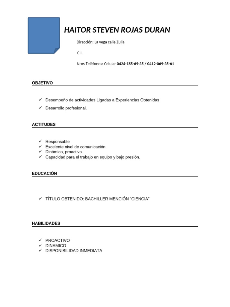 Curriculum STEVEN | PDF