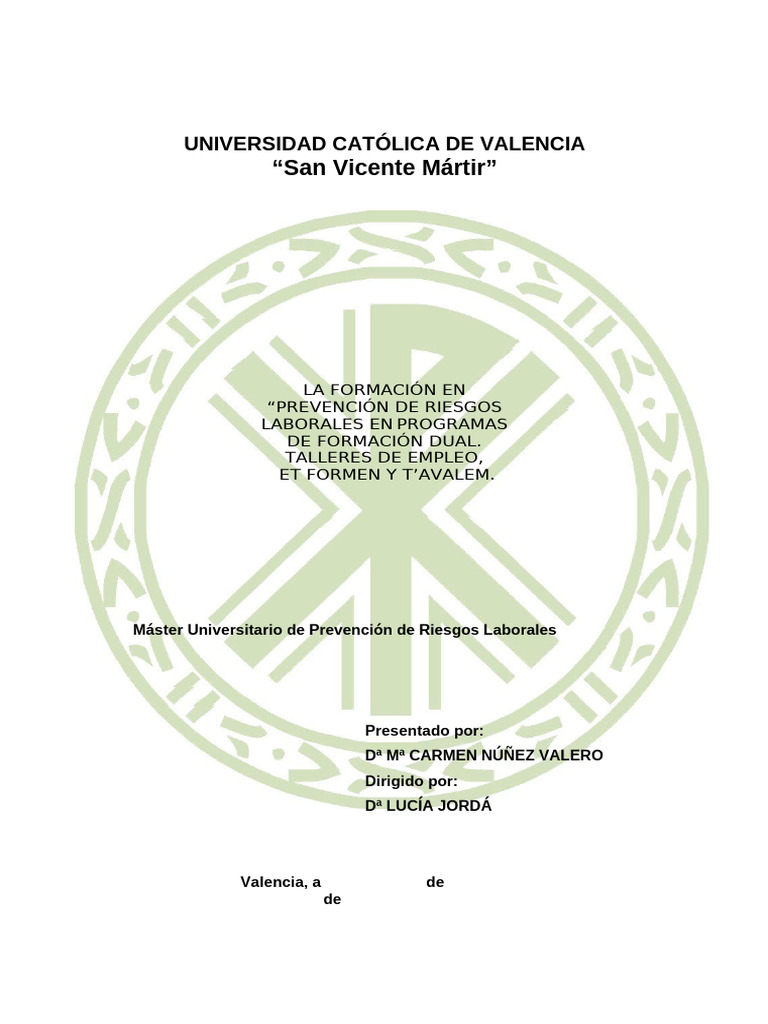 1-TFM MC Ap - BORRADOR MC 30-07 | PDF | Derecho laboral | Empleo