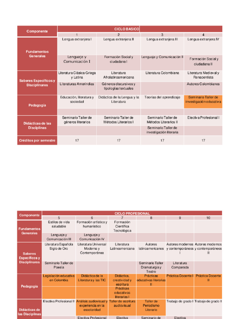 Estructura Curricular | PDF